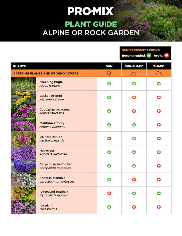How to create an alpine rockery?