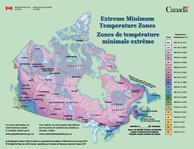 Hardiness Zones Explained | PRO-MIX Gardening