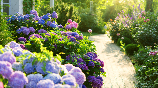 Hardiness Zones Explained | PRO-MIX Gardening